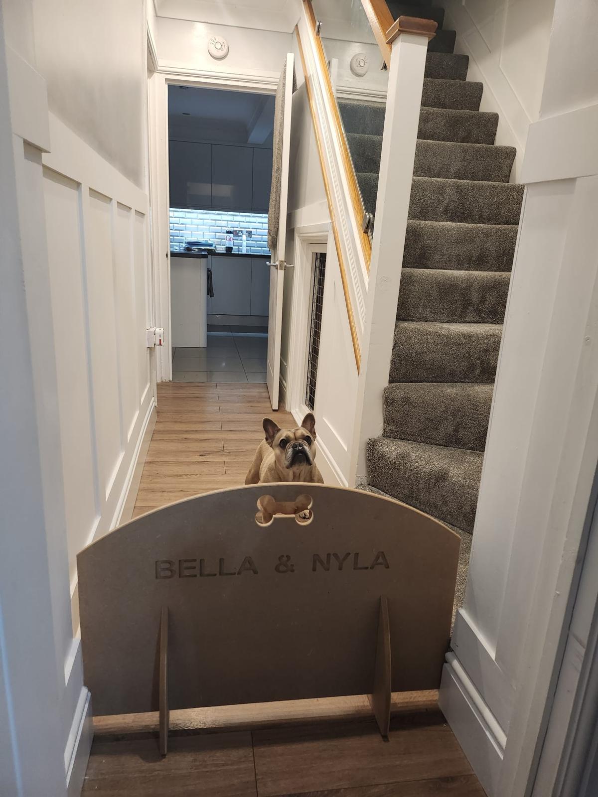 Petstopz Dog Barrier (For Doorways) - Tillobie